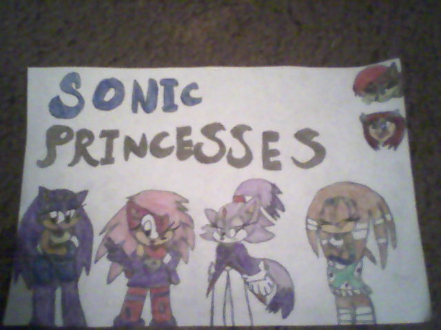Sonic Princesses by PrincessShannon