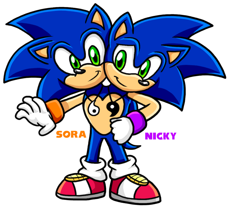 Sora and Nicky the Hedgehogs by HeartinaRosebud