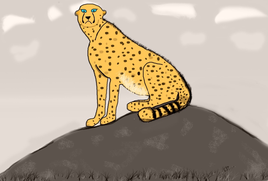 the cheetah god by tassulisko